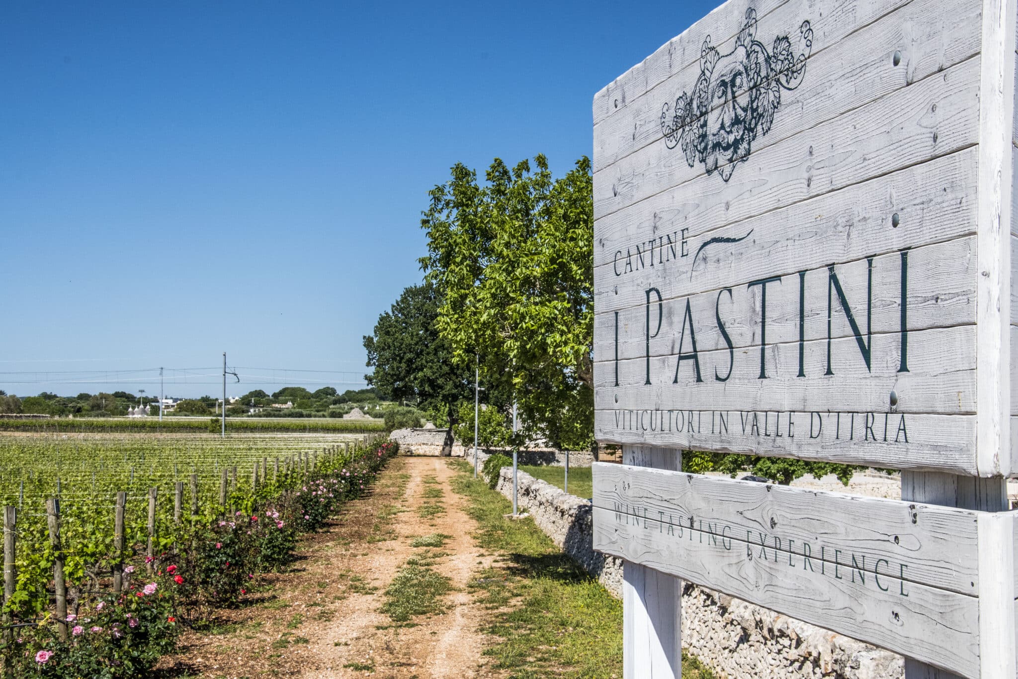 I Pastini | Mere om vin